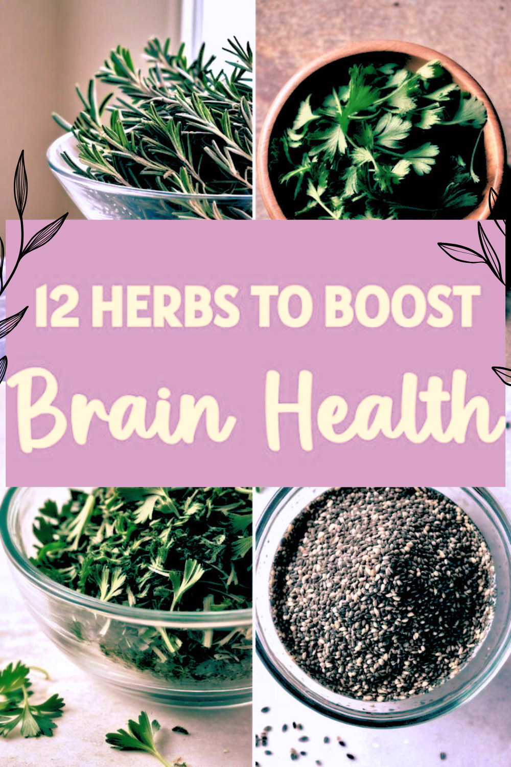 12 Herbs to Boost Brain Health - Rise Within